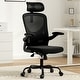 Ergonomic Office Chair, Home Office Desk Chair with Headrest, High Back ...