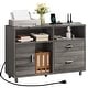 Moasis 2-Drawer Wood Lateral File Cabinet Mobile Storage Cabinet Fits ...