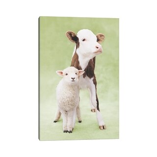 iCanvas "Mallowpuff And Romeo II" by Rachael Hale Canvas Print - Bed ...