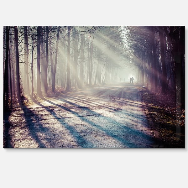 Strong Sunbeams in Thick Forest - Landscape Photo Glossy Metal Wall Art ...