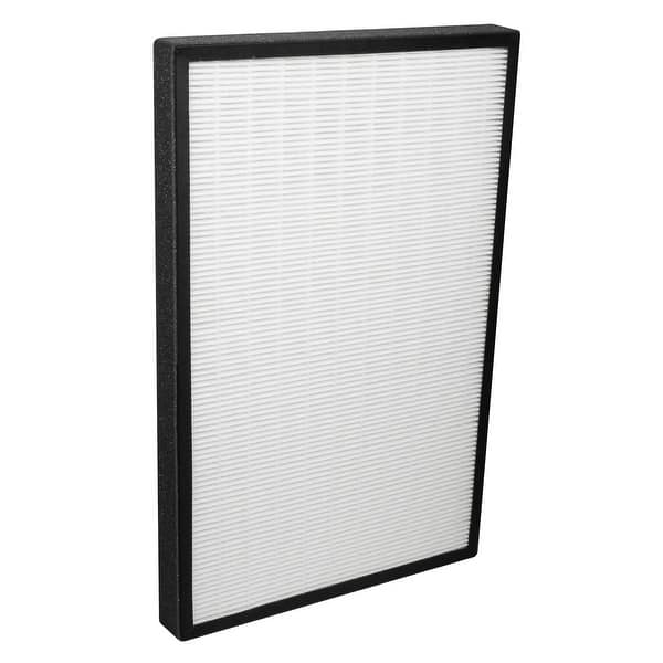 ENVION Allergy Pro True HEPA 12 Month Germ Particle Removing ...