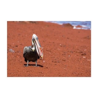Isla Rabida Galapagos Islands Ecuador Photography Art Print/Poster ...