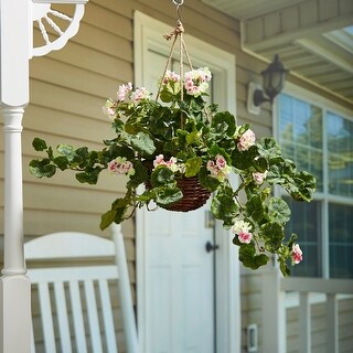 Faux Flower Arrangement with Hanger Basket, Pink - Light Pink Geranium ...
