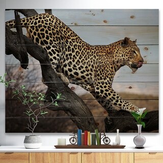 Designart 'Leopard Walking On Tree' Traditional Wood Wall Art Décor ...