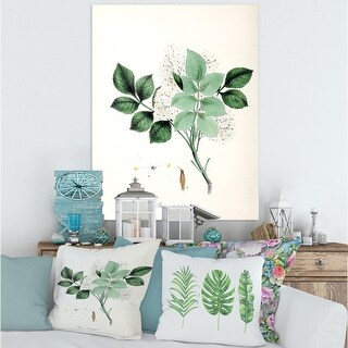 Designart "Vintage Blossoming Flower IV" Farmhouse Canvas Wall Art ...