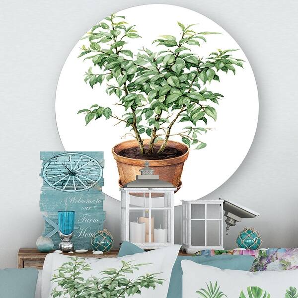 Designart 'Ficus Benjamina In Clay Flowerpot' Traditional Metal Circle ...