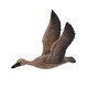 Set of Three Flying Geese Carved Wood 3D Wall Art - Bed Bath & Beyond ...