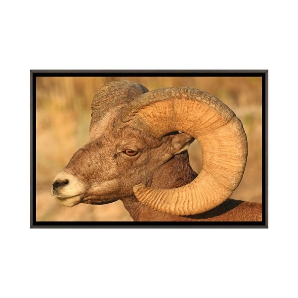 ram head profile