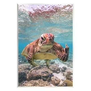 Stupell Angry Turtle Middle Finger Wall Plaque Art Design by Mark ...