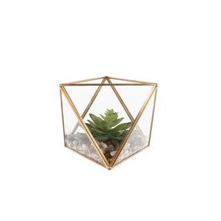 7" Glass Square Open Top Terrarium With Faux Succulents Garden, Md ...