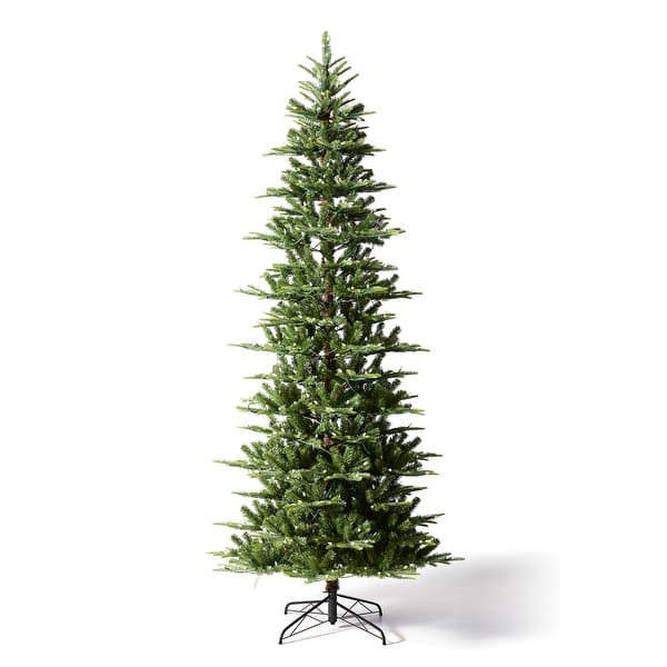 evergreen slim tree