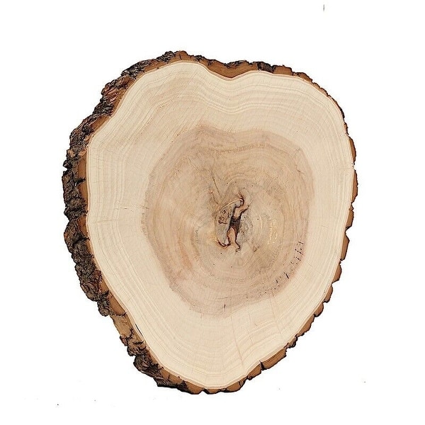 Set of 14-18" Natural Round Poplar Wood Slices - Bed Bath & Beyond ...