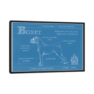 iCanvas "Blueprint Of A Boxer" by Ethan Harper Framed Canvas Print ...