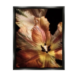 Stupell Tulip Petals Detail Framed Floater Canvas Wall Art Design by ...