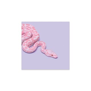 Pink Snake Print On Acrylic Glass by Paul Fuentes - Bed Bath & Beyond ...