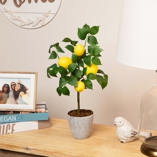 Artificial Potted Mini Lemon Tabletop Tree - 20" - Bed Bath & Beyond ...