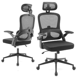 Ergonomic Mesh Office Chair, High Back Desk Chair w/ Armrests, Lumbar ...