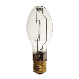100W Bulb Socket Light Bulb Warm White Glass American Imaginations ...