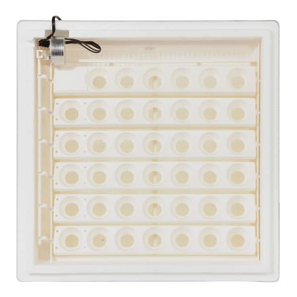 Farm Innovators 4250 Digital Circulated Air Incubator, w/Auto Egg ...