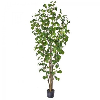 Potted Silver Dollar Eucalyptus Tree Faux Plants And Trees - Bed Bath ...