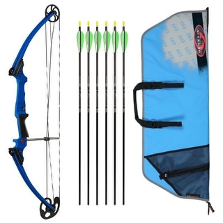 Genesis Archery Original Bow (RH, Blue) with 6 NASP Arrows and Case ...