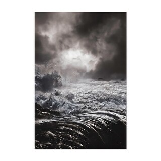 Big Island Hawaii Obsidian Tides Photography Beach Art Print/Poster ...