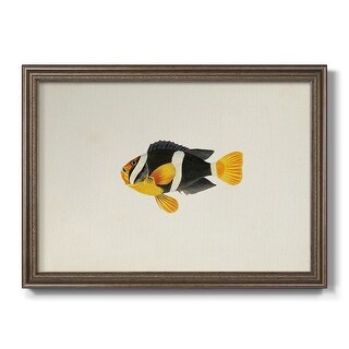 Tropical Fish Collection II Premium Framed Canvas- Ready to Hang - Bed ...