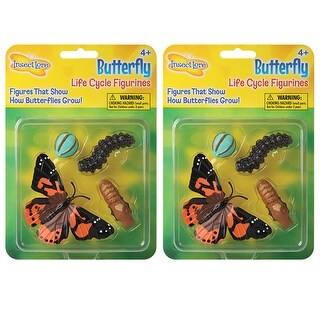 Insect lore (2 ea) butterfly life cycle stages 4760bn - Bed Bath ...