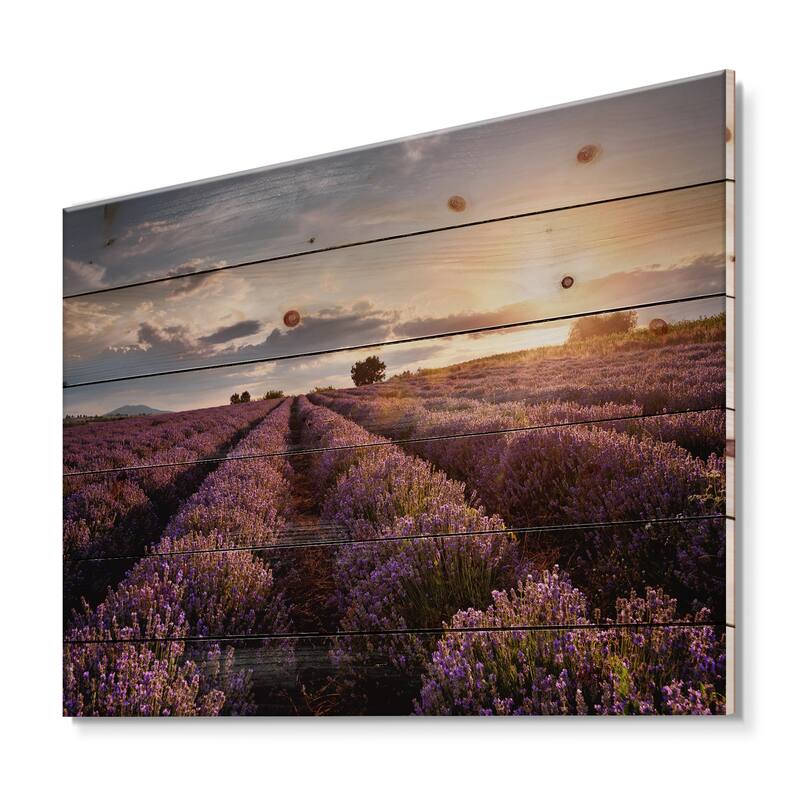 Designart 'Sunrise & Dramatic Clouds Over Lavender Field V' Farmhouse ...