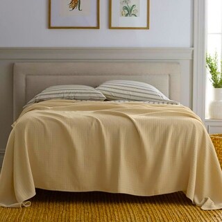 Full Knitted Cotton Full Blanket Gold - Bed Bath & Beyond - 40879809