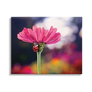 Stupell Ladybug with Pink Flower Canvas Wall Art Design by Karen Burke ...