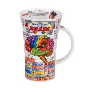 Human Anatomy Mugs - Body Part Facts Bone China Coffee Cups, 17 Oz. - 6 ...