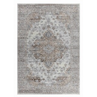 HomeRoots 4' X 6' Brown Oriental Area Rug - 4' x 6' - Bed Bath & Beyond ...