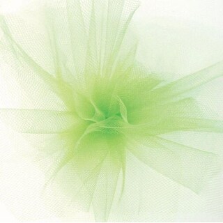 Citrus Green Tulle Ribbon - Bed Bath & Beyond - 36880248