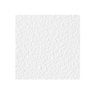 Art3d 2ft x 4ft.Smooth Drop Ceiling Tiles,Lay-in Ceiling Tiles(80sqft ...