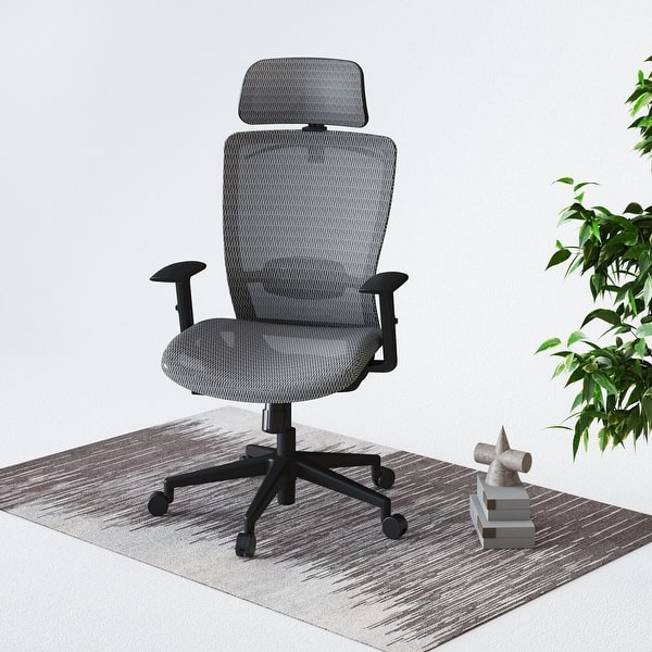FLEXISPOT Ergonomic Mesh Office Chair Swivel Height Adjustable Seat ...