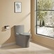 1.1/1.60 GPF Dual-Flush Toilet,Water-Saving Elongated Comfort Height ...
