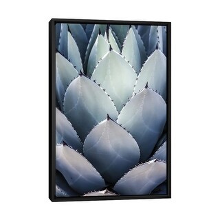 iCanvas "Blue Agave Side" by Shot by Clint Framed Canvas Print - Bed ...