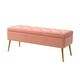 Neptunus Modern 45.5-inch Velvet Bedroom Storage Bench for End of Bed ...