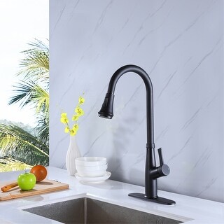 Round Pull Out Kitchen Faucet with Cover - Bed Bath & Beyond - 38910683