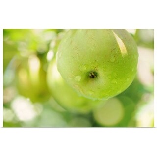"Green apples" Poster Print - Multi - Bed Bath & Beyond - 26060102
