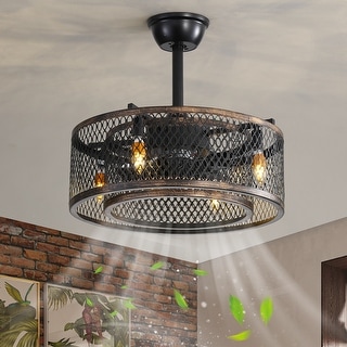 20 Inch Caged Ceiling Fan with Lights - Bed Bath & Beyond - 40810301