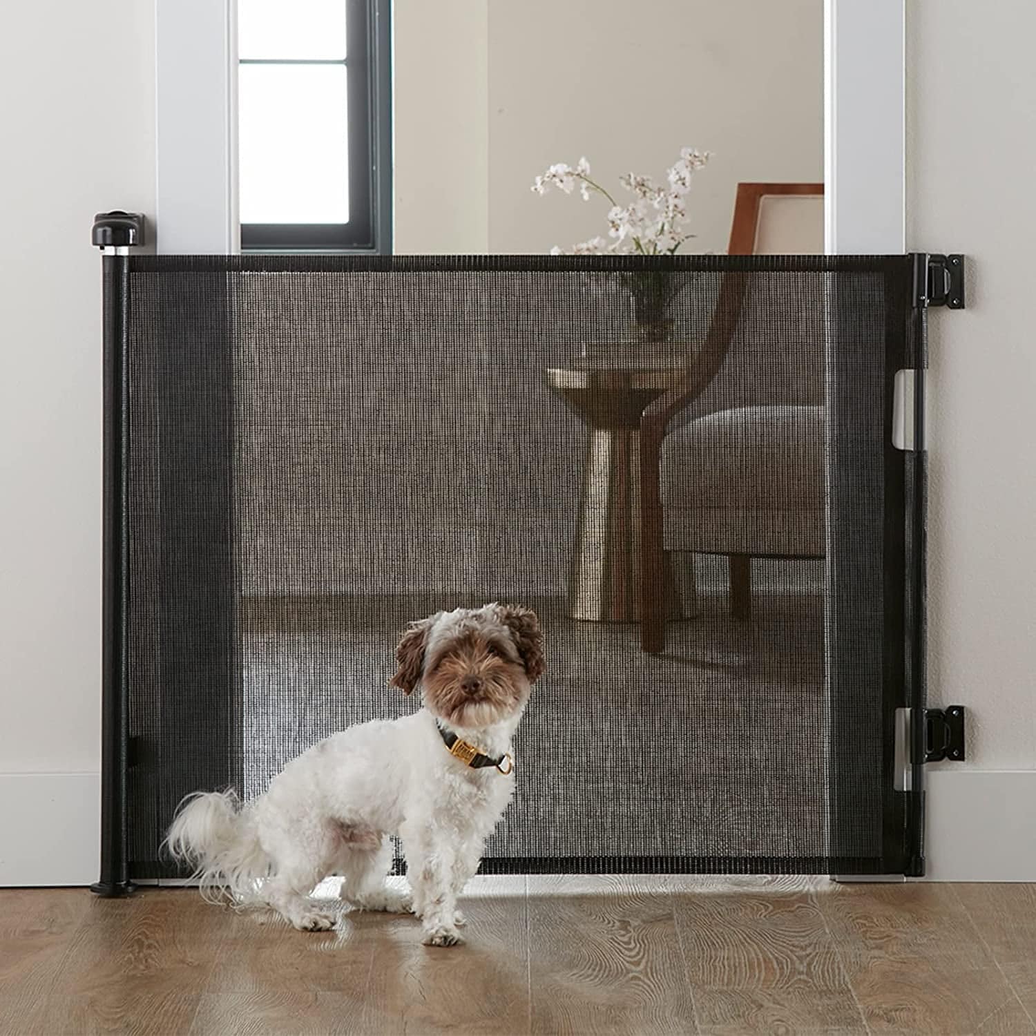 retractable dog gate