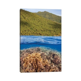 iCanvas "Split Scene With Shallow Coral Reef Below & Palm Tree Filled ...