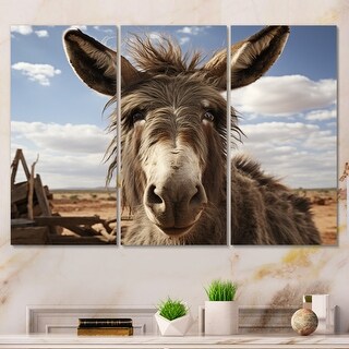 Designart "Grey Donkey Portrait" Animals Wall Art Living Room Set - Bed ...