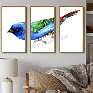 Designart "Forbes Finch Bird" Traditional Framed Art Prints Set of 3 ...