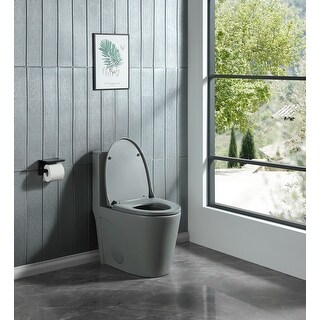 Dual-Flush One Piece Toilet, Water-Saving Elongated Comfort Floor ...
