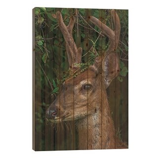 BeJeweled Print On Wood by Sandra Rust - Multi-Color - Bed Bath ...