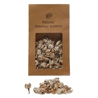 Dried Pods - Bed Bath & Beyond - 41820326