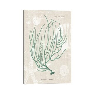 iCanvas "Gorgonia Miniacea on Linen Sea Foam" by Wild Apple Portfolio ...